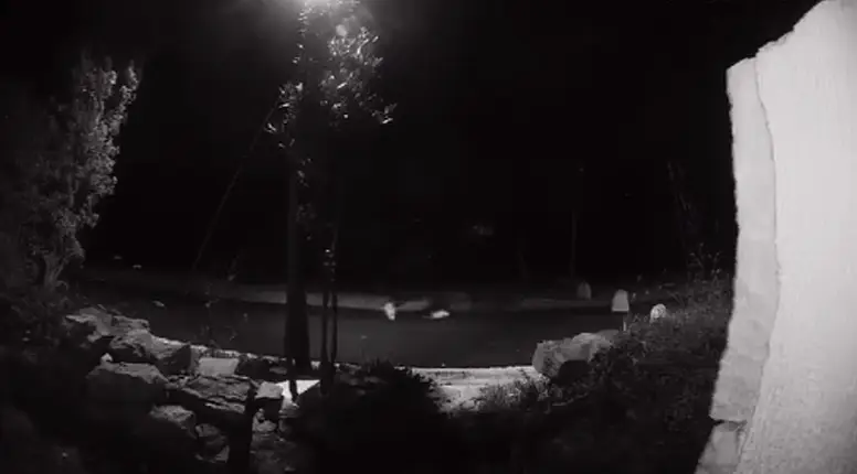 Širi se snimka napada na profesoricu iz Zadra. Muškarac ju ubo nožem u vrat - Hrvatska uživo